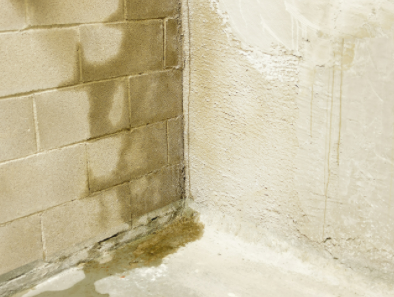 Noticing Basement Wall Moisture