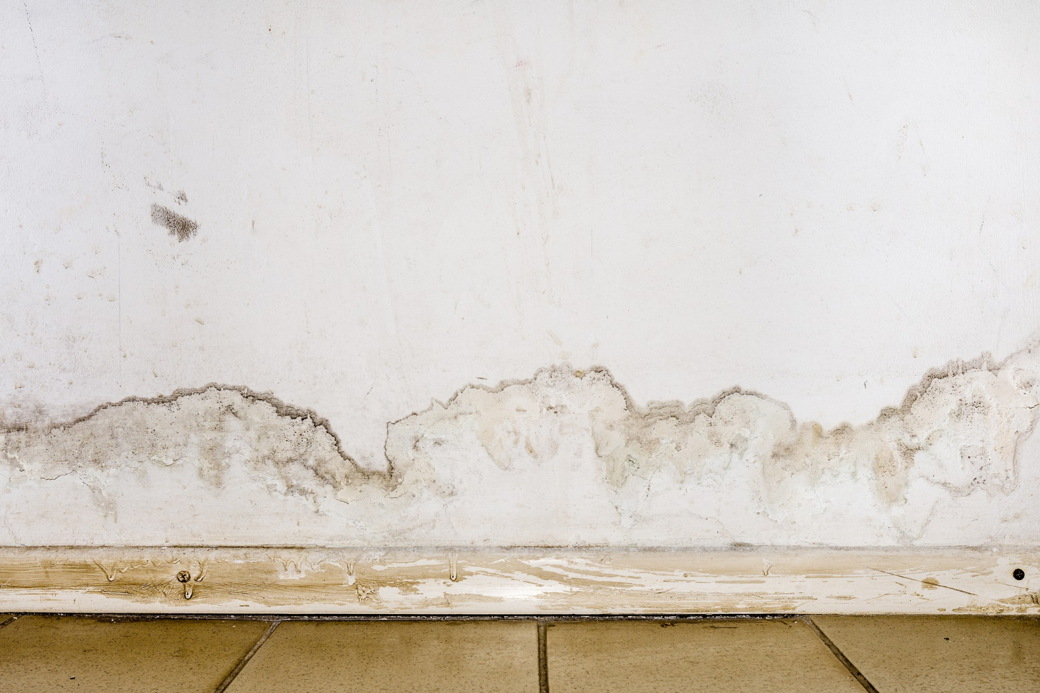 Tips for Fixing a Damp Basement