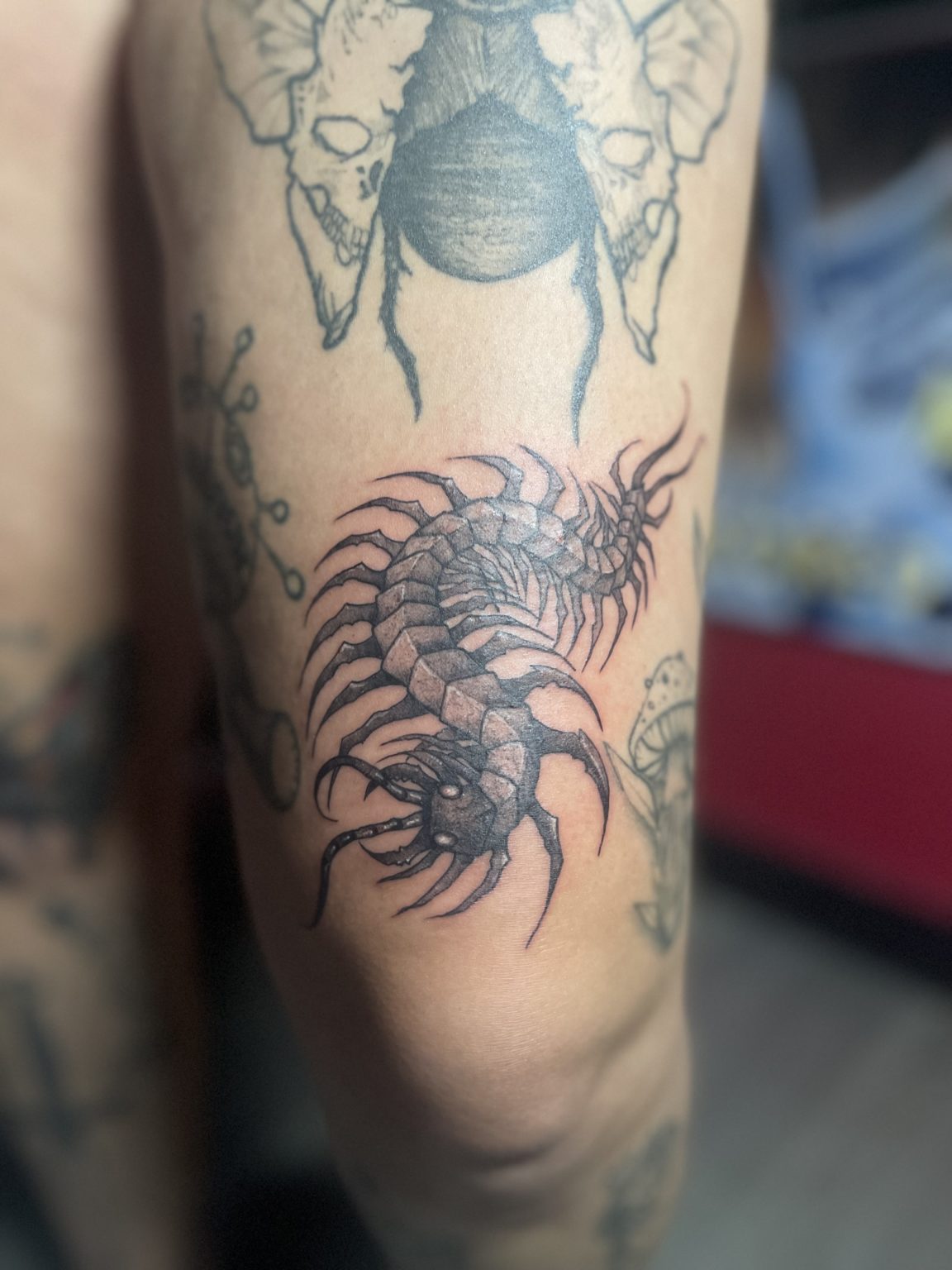 Reiley Matt – True Art Tattoos